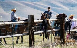 Cowboy Slang Terms and Expressions for Any Western Fan