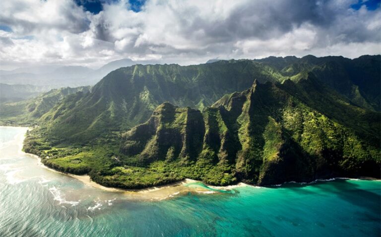 Koa Name Meaning and Its Connection to Hawaiian Culture